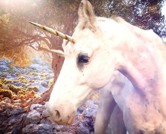 Do Unicorns Have Magical Powers? | Magical Unicorn Life