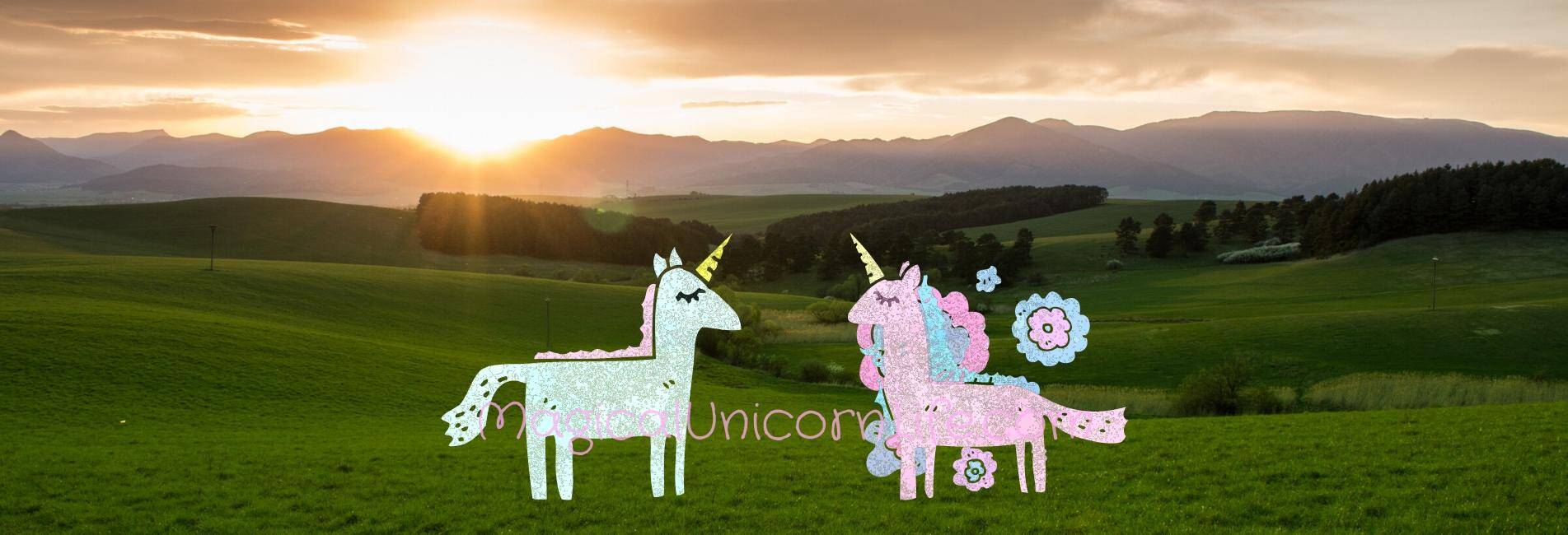 What Is a Unicorn? | Magical Unicorn Life
