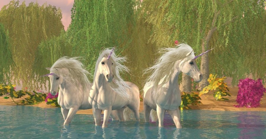 37 Unicorn Facts to Astonish You - Magical Unicorn Life